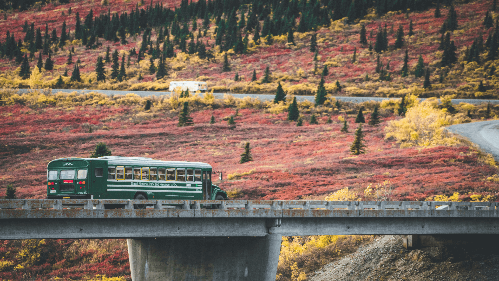 How to Tour Alaska Without a Car? | Alaskan Sights & Bites