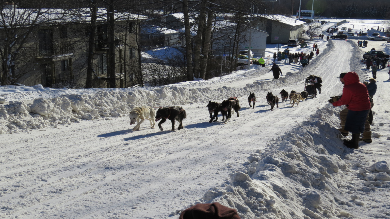 Guide to Fur Rondy and the Iditarod in Anchorage, Alaska | Alaskan ...