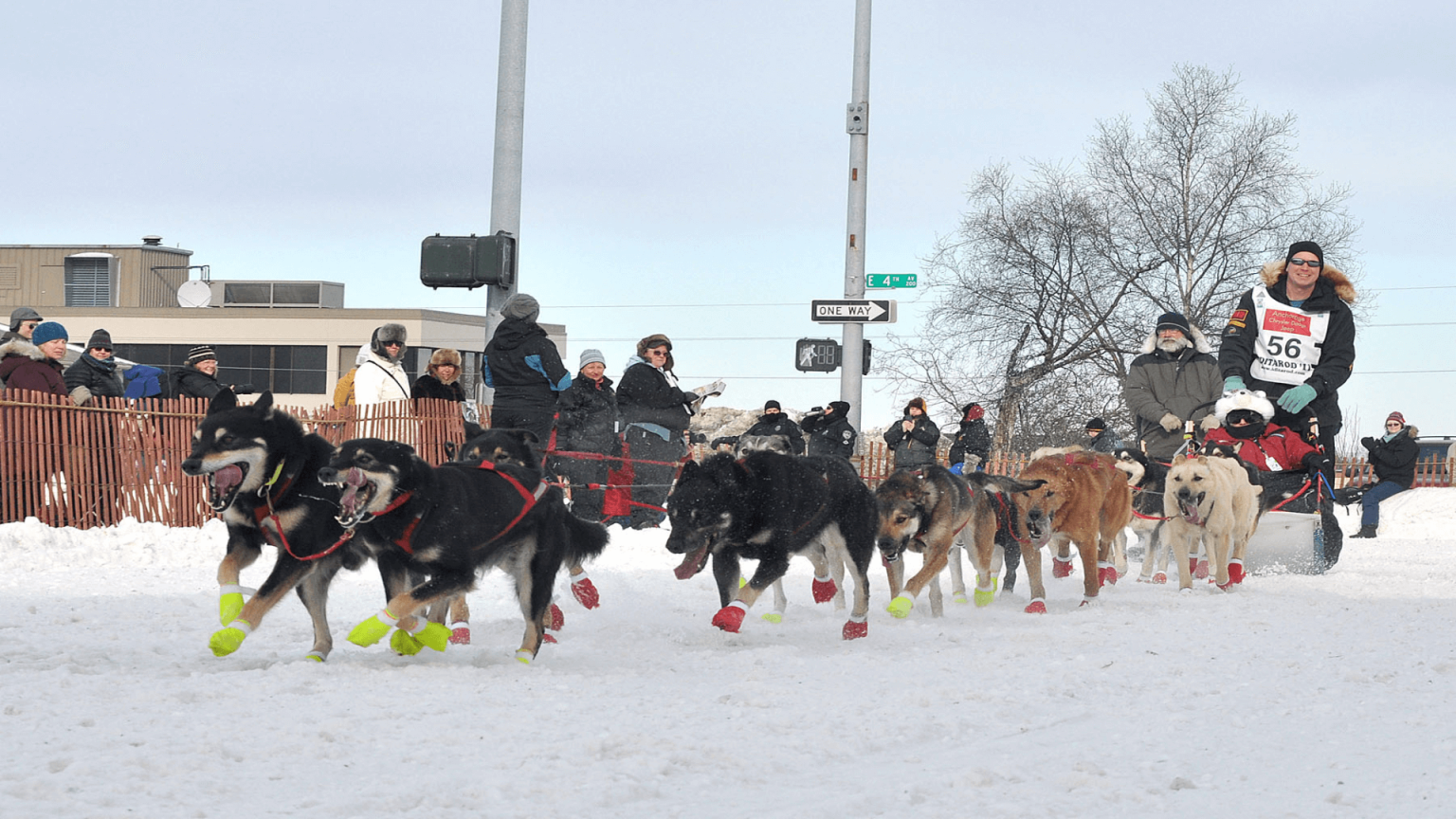 Guide to Fur Rondy and the Iditarod in Anchorage, Alaska | Alaskan ...