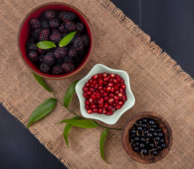 A Guide to the Wild Berries of Alaska | Alaskan Sights & Bites
